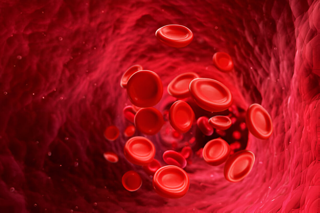 Kas yra trombocitai? Funkcijos ir jų anatomija - SveikaAkis.lt